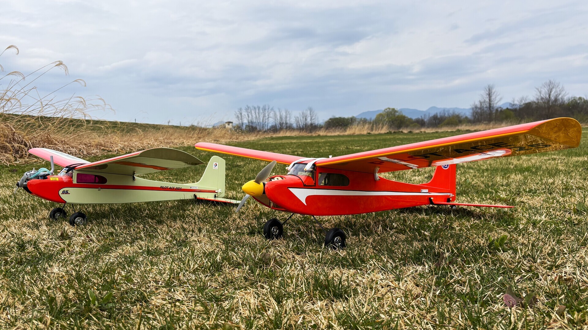 PILOT ACE 2025 発売中: i-RCTechのブログ